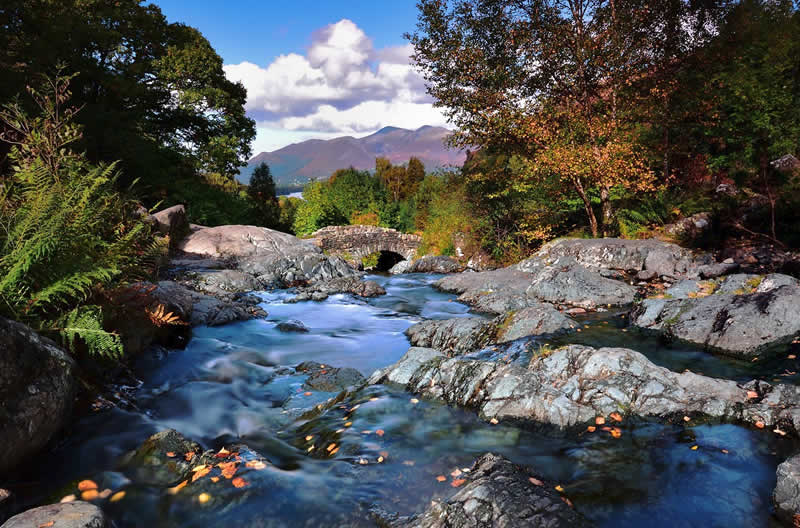 Help support Cumbrian Rivers by lending your Vote - Kendal Calling